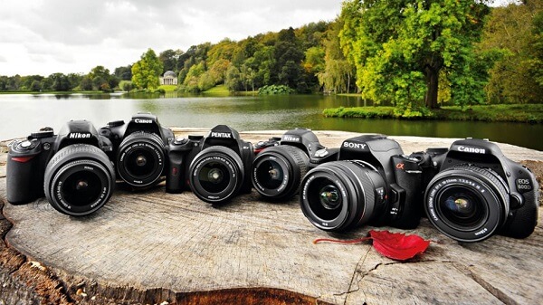 Top 7 Best Entry Level DSLR Cameras – A Guide to Begin With